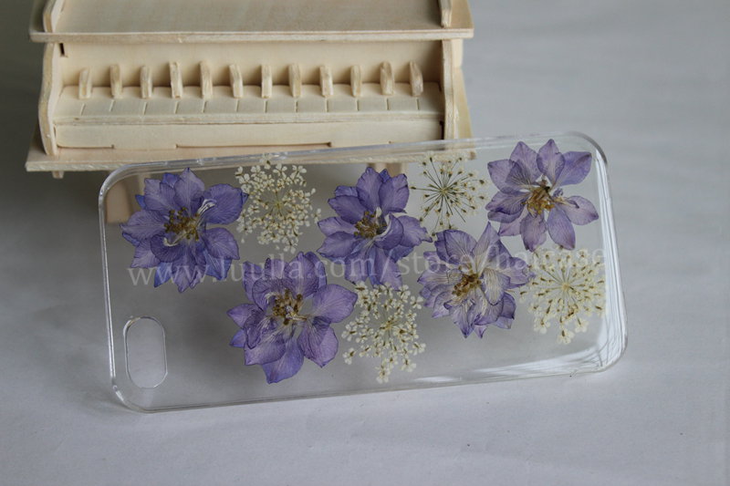 Iphone 6 Case Pressed Flower Iphone 6 Plus Case Real Flower Iphone 5s ...